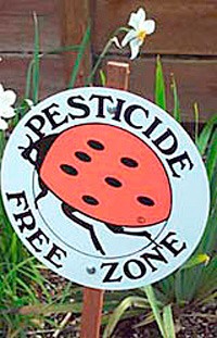 Show off a pesticide free yard with a free ladybug sign | Bothell ...