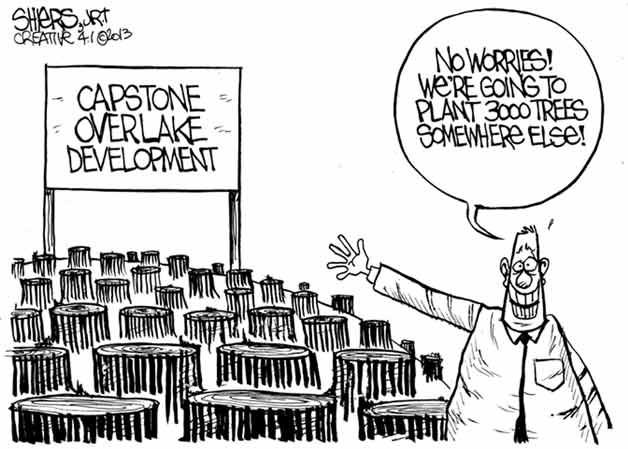 Capstone Overlake development - 3,000 trees | Cartoon | Bothell-Kenmore ...