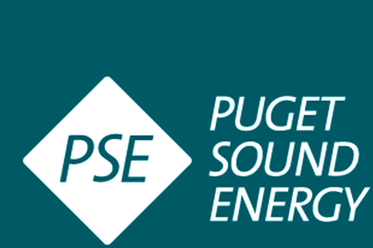 PSE makes electric system improvement presentation to Kenmore City ...