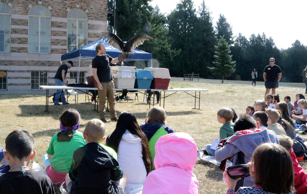 Woodmoor students busy as bees during Outdoor Education Day | Bothell ...