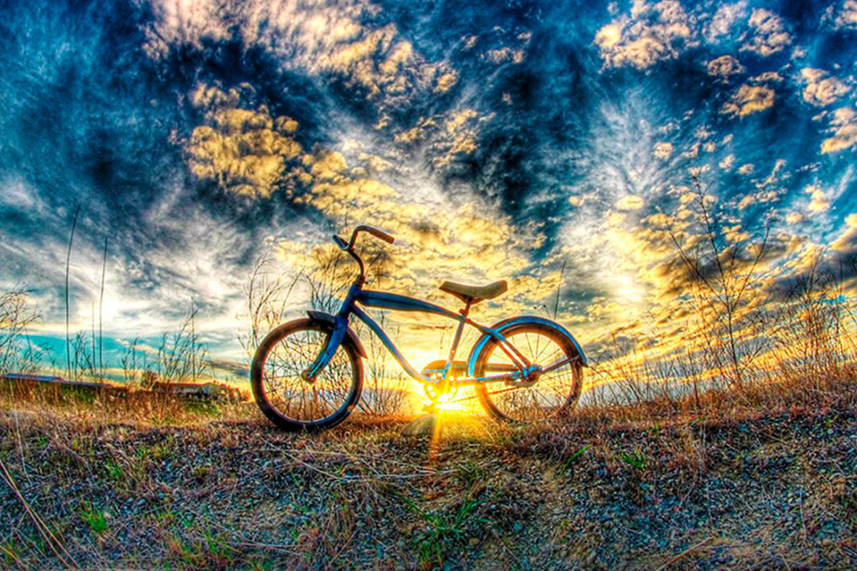 New art exhibit open at Bothell City Hall Gallery | Bothell-Kenmore ...