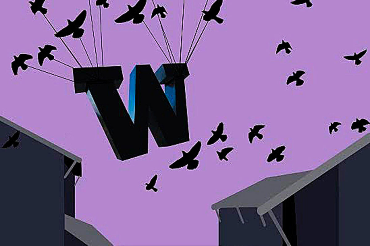 Students to study crows through UW Bothell summer camp | Bothell ...