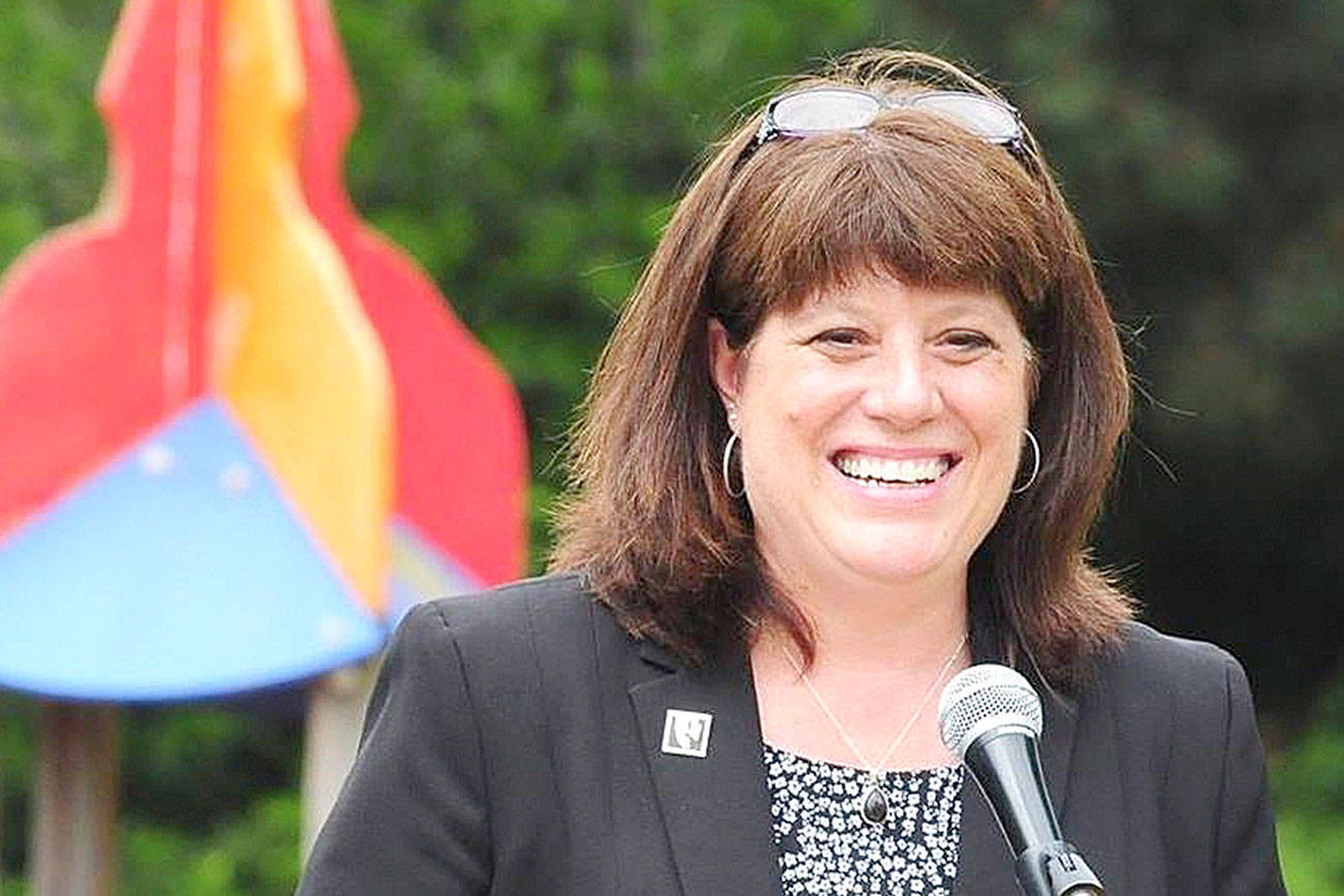 Balducci runs against Hirt for District 6 county council seat | Bothell ...