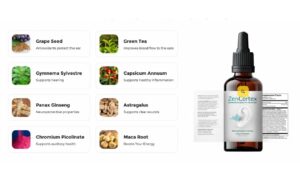 Zen Cortex Review - Is it Right For You? | Bothell-Kenmore Reporter