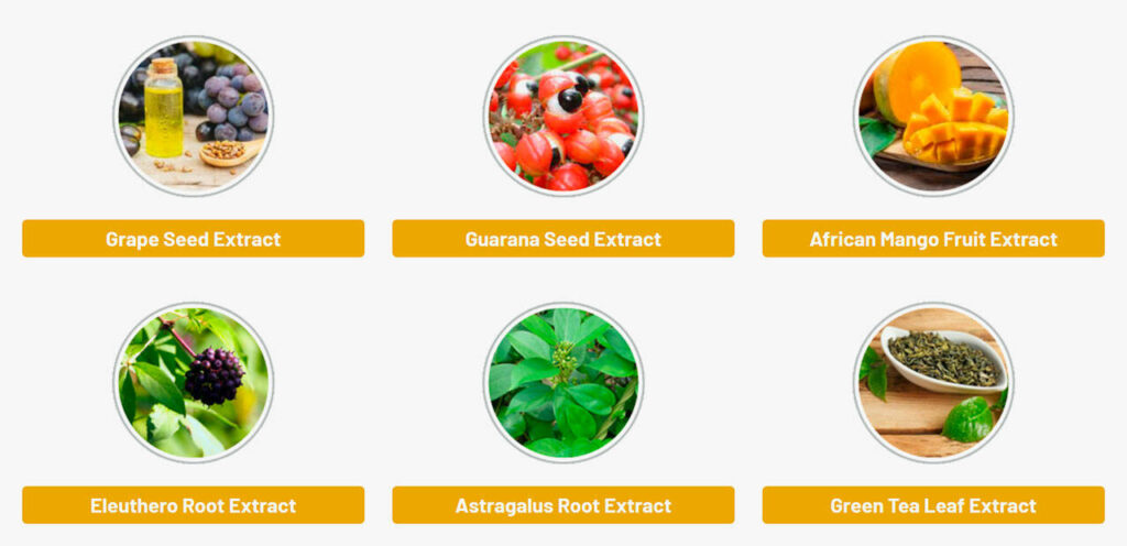 Lipo Slim Reviewed: I Tried It For 90 Days – Does These Weight Loss ...